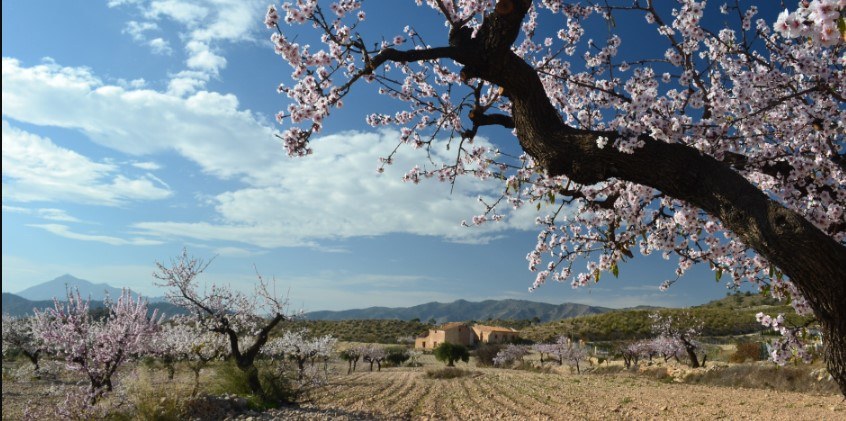 Mallorca in February: The Best Things to See and Do