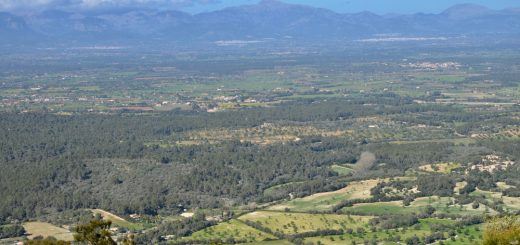 Mallorca in February: The Best Things to See and Do