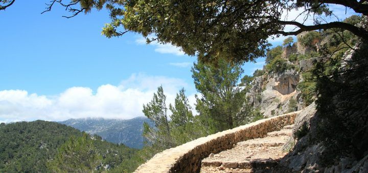 Mallorca in February: The Best Things to See and Do