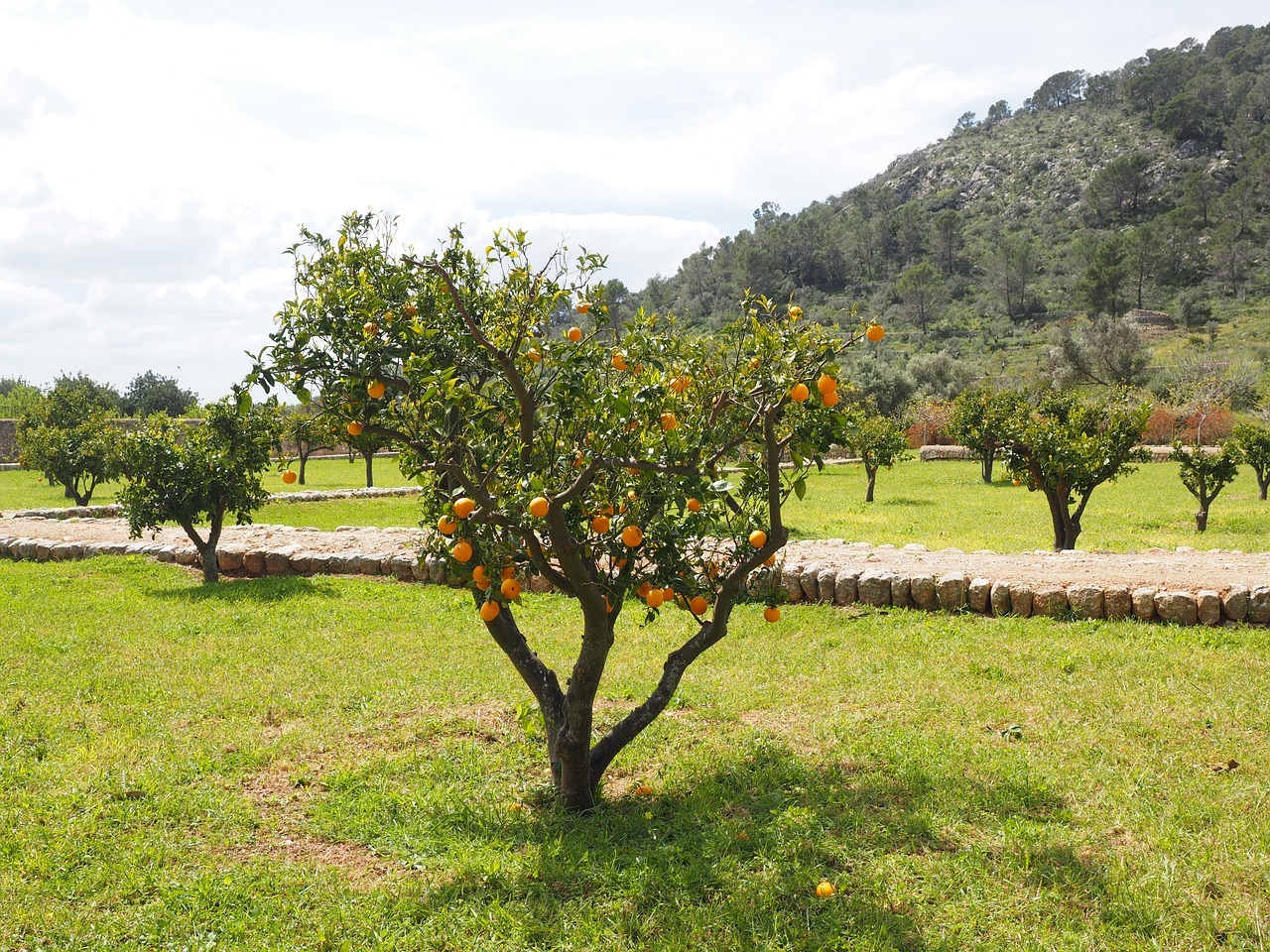 Mallorca in December: The Best Things to See and Do